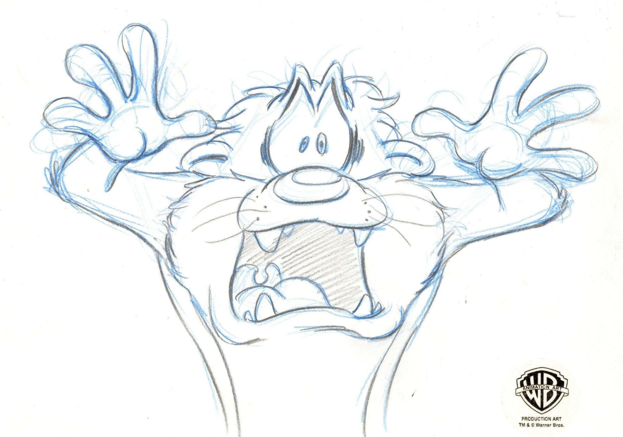 How To Draw Taz From Looney Tunes